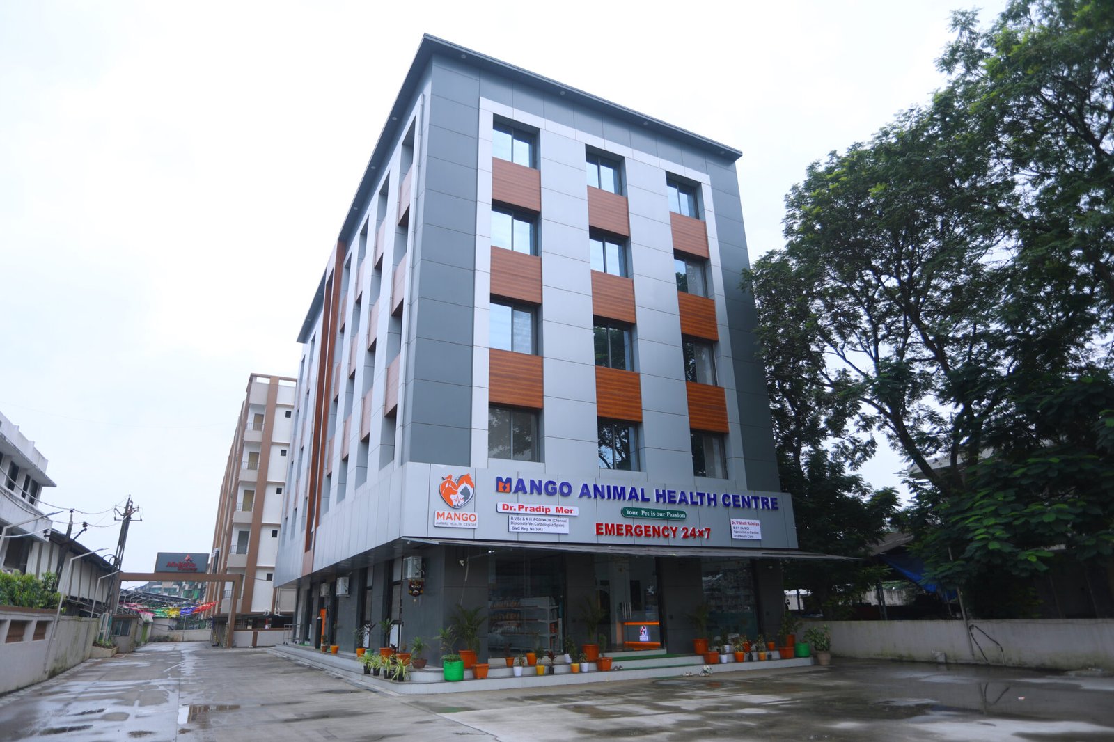 mangoanimalhealthcentre.com